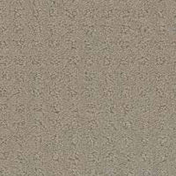 Phenix Floor Ever Pet Plus Debut 12' Carpet Tile