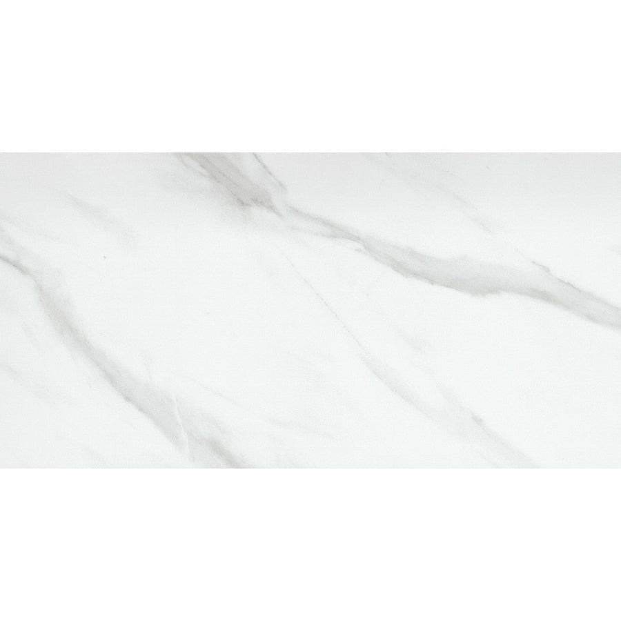 Emser Nobleza Porcelain 12x24 Polished Tile