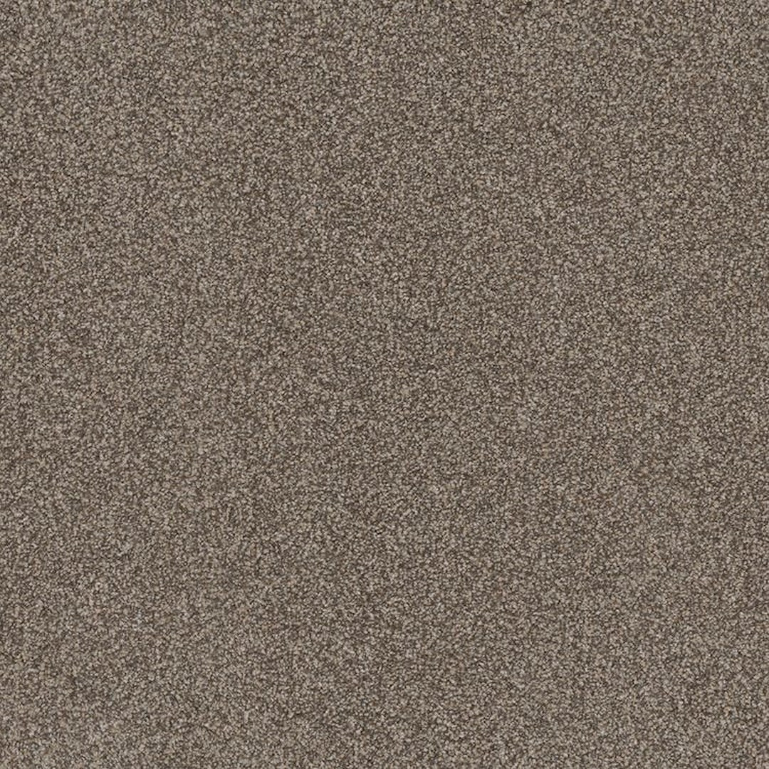 Phenix Floor Ever Pet Plus 12' Sorrento Carpet Tile
