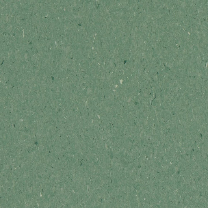 Armstrong 6'.6" x 65.62" Medintone Low Gloss Vinyl Homogeneous Sheet